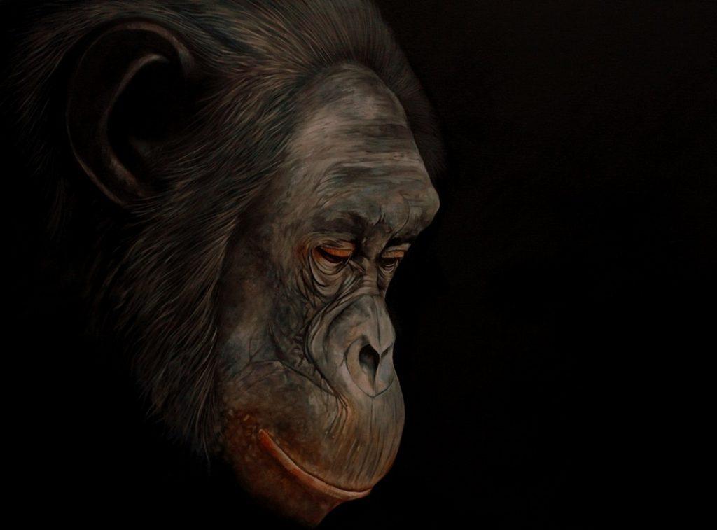 Featured Artist: Tracey Hollis Rowe - Cowling & Wilcox