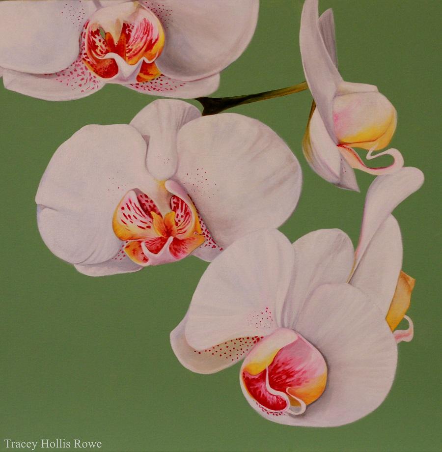 Featured Artist: Tracey Hollis Rowe - Cowling & Wilcox