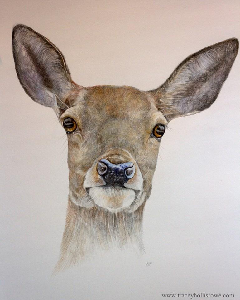 Featured Artist: Tracey Hollis Rowe - Cowling & Wilcox