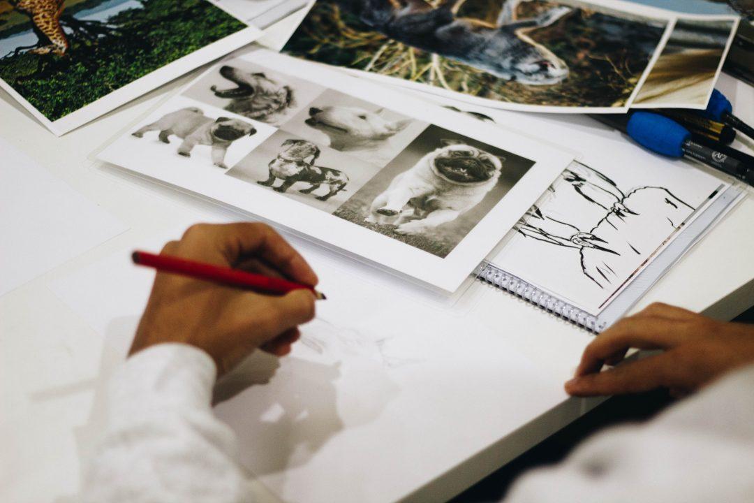 Our Tips On How To Draw Animals - Cowling & Wilcox